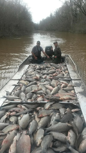 Photos Hoop Nets - Nets & More