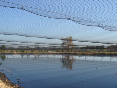 Custom Nets - Nets & More